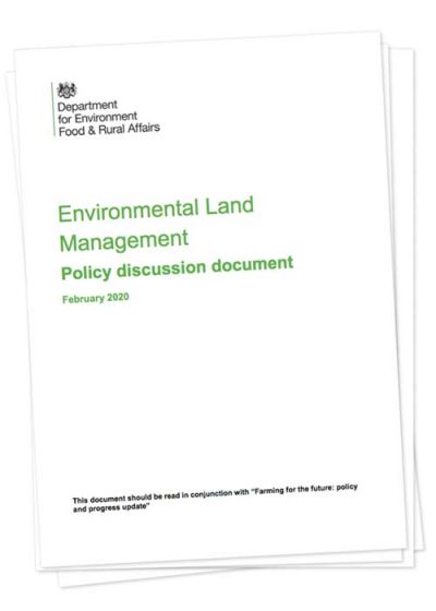 ELMS – Energy Crops Consultancy