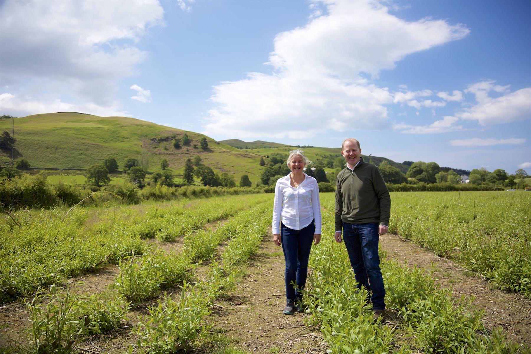 Paradigm Farm – Energy Crops Consultancy